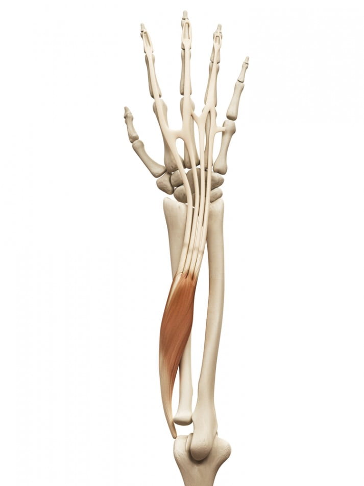 It Shouldn't Hurt to Shake Hands! Body Ache Escape